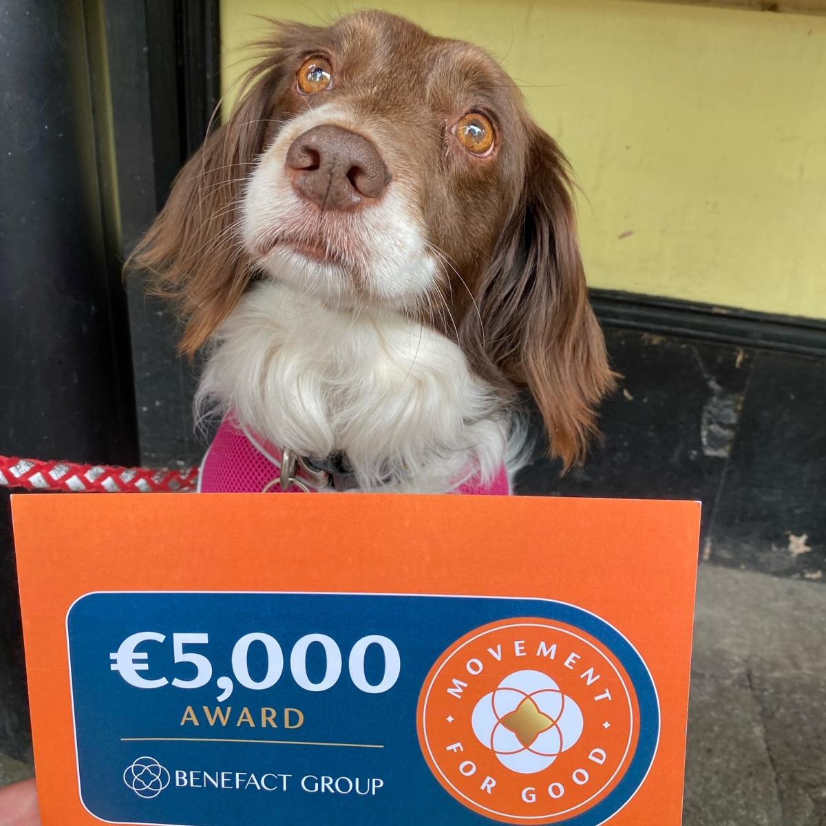 Animal welfare charity, Drogheda Animal Rescue, to receive a €5,000 ...