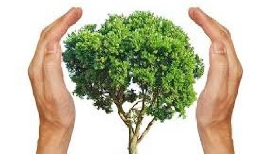 Apply Now for the Community Environment Action Fund (Local Agenda 21 ...