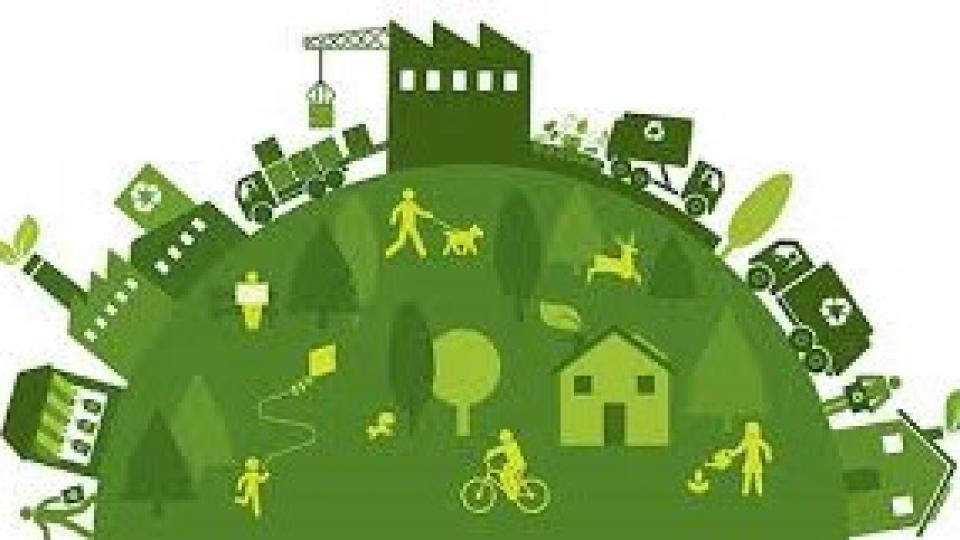 Handy Hints to Make Your Community More Sustainable | The Wheel