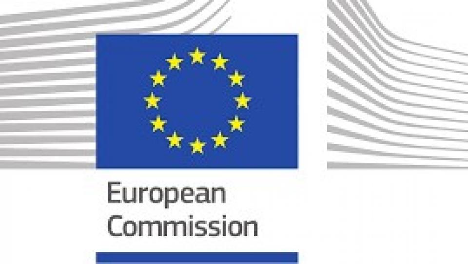 EU Commission Public Consultation on Roadmap for Long term Vision for ...