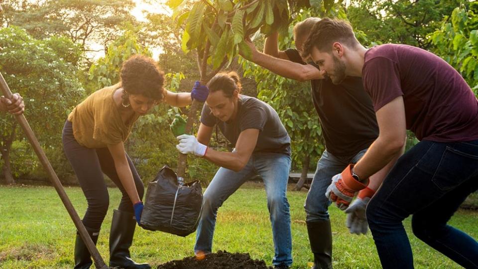 AXA Parks Fund Offering Environmental Grants for Local Community ...