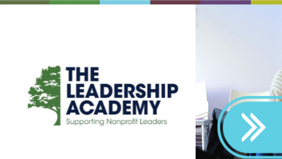 Introducing The Leadership Academy - Supporting Irish Nonprofit Leaders ...