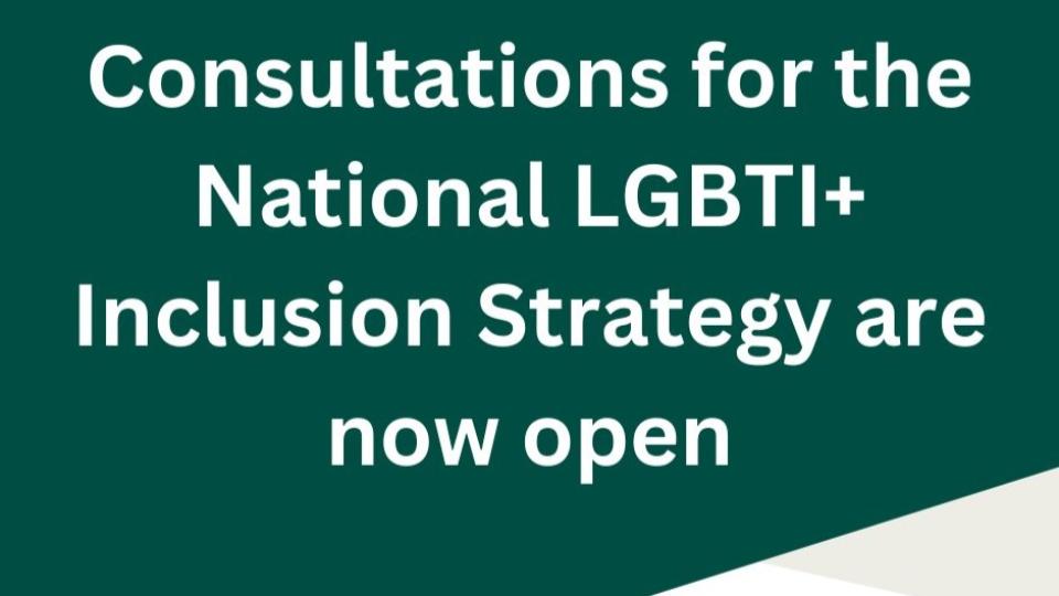 Consultations Open for the National LGBTI+ Inclusion Strategy | The Wheel